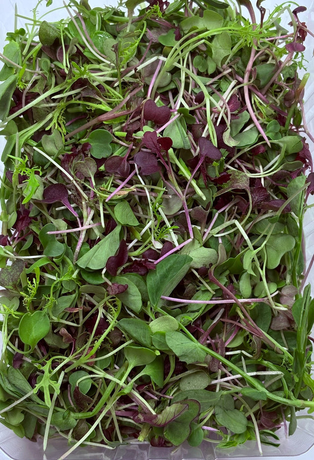 FARMZER0 - Revolutionizing Urban Agriculture
