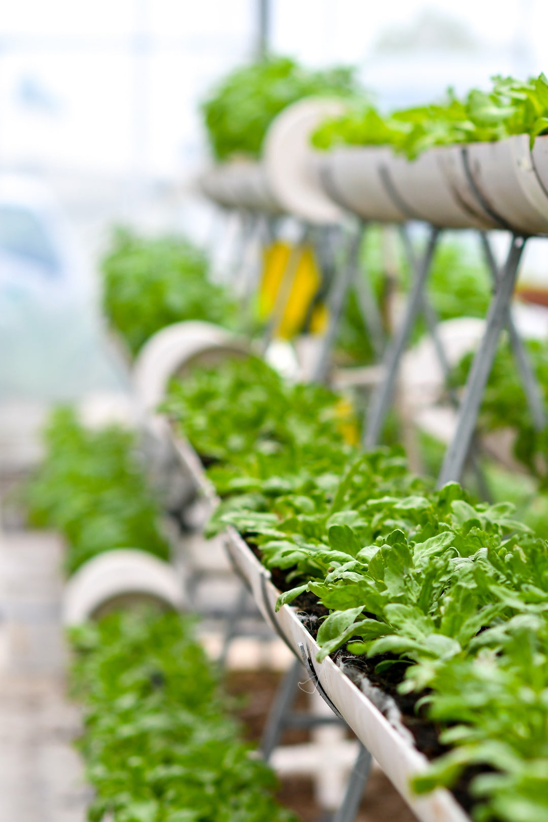 Product Catalog – FARMZER0