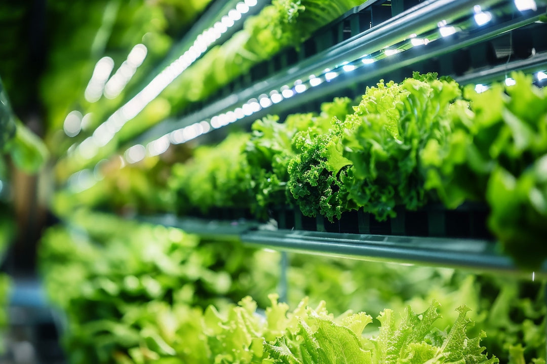Product Catalog – FARMZER0